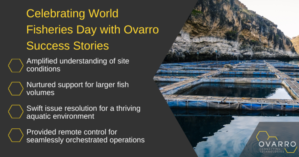 Operational excellence in fish feeding | Case Study | Global